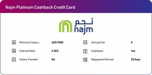 Best No Annual Fee Credit Cards in UAE 2024